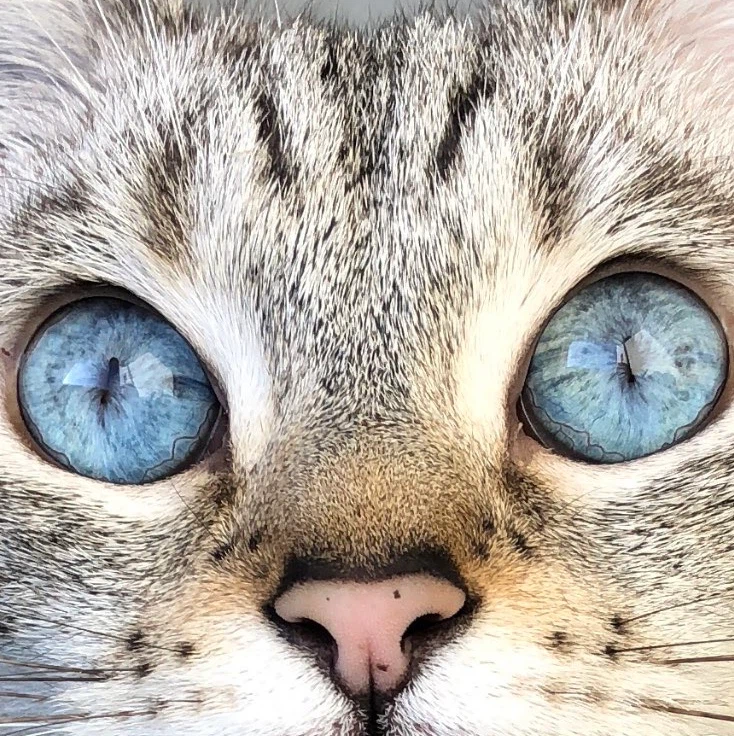 Sely Dyna (@selydy) on Linkme